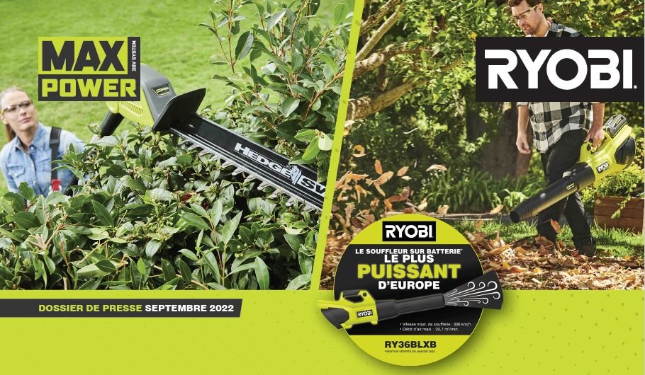 Taille-haies sur perche 36V MAX POWER Ryobi® RY36PHT50A : Puissance et ...